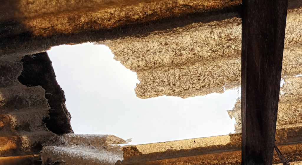 Toiture abimée par la grêle : que dois-je absolument faire pour éviter ...